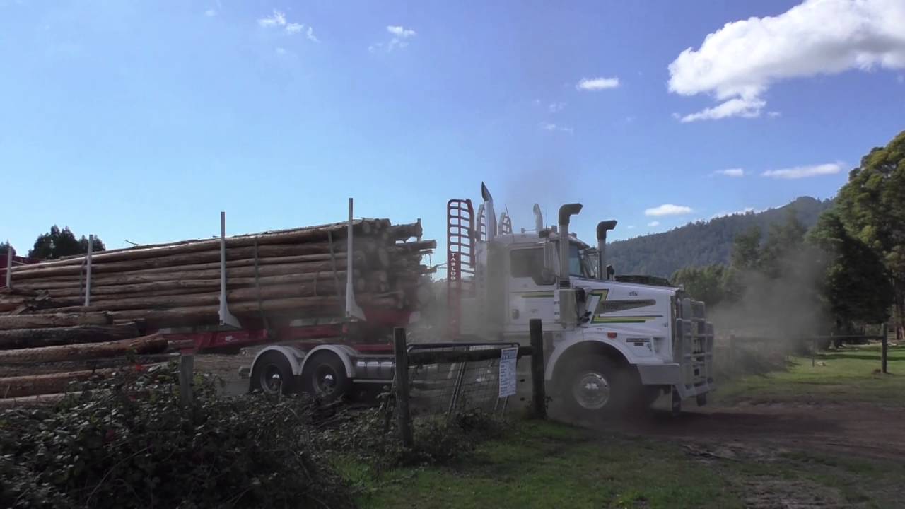 Forico from the seed to the paper - YouTube