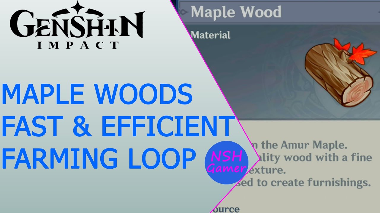 Fast & Efficient Maple Woods Farming Route - Genshin Impact v2.2 - YouTube