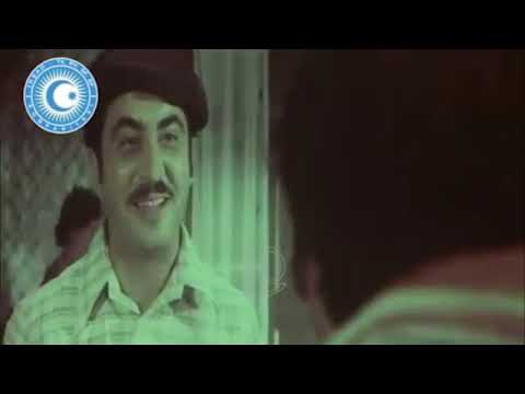 yol ehvalatı