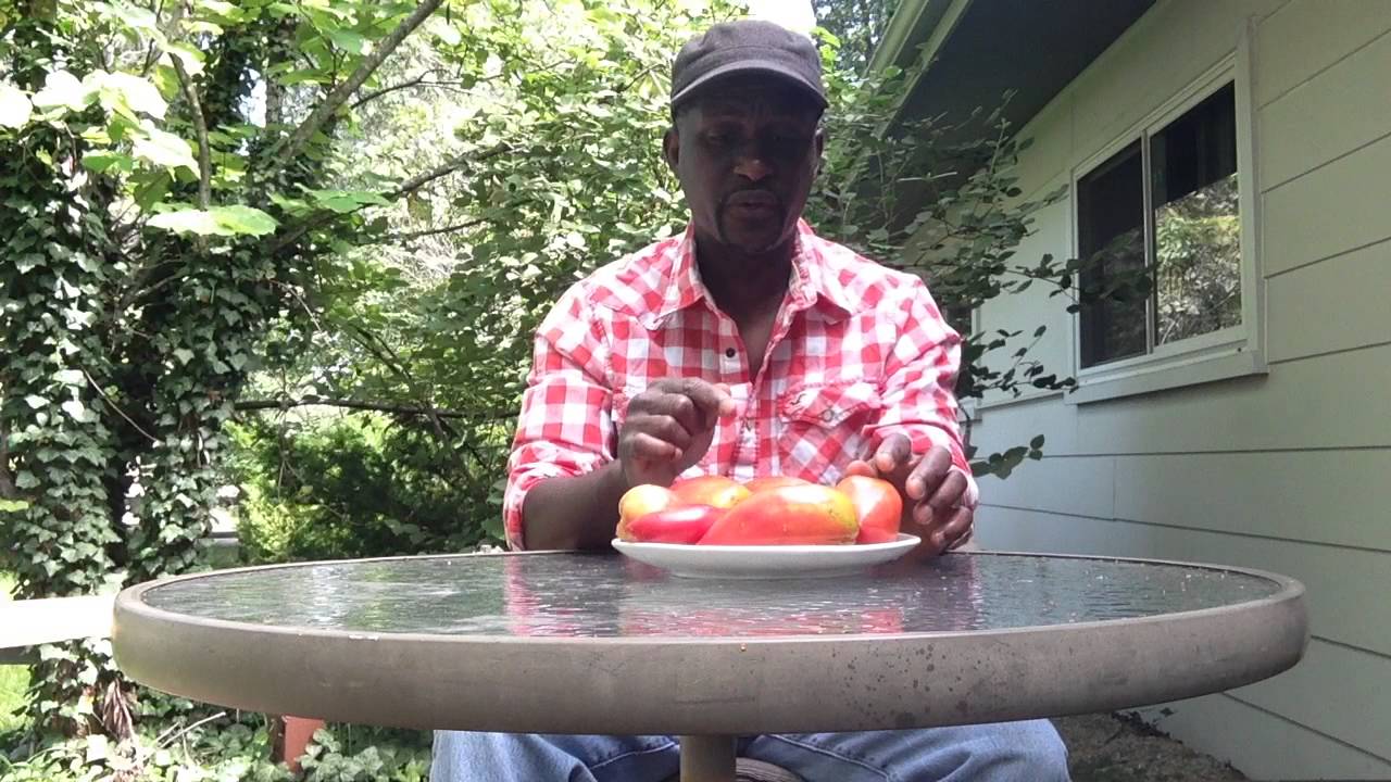 Make the Best Tomato Sauce With Korean Long Tomato - YouTube