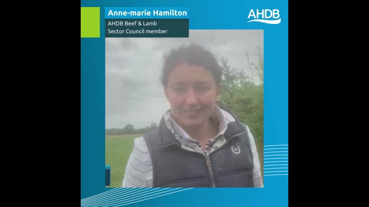 Anne-marie Hamilton supports AHDB's Maternal Matters campaign - YouTube
