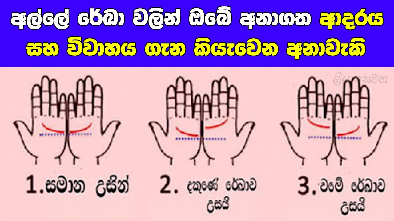 අතේ රේඛා වලින් ඔබේ අනාගත විවාහය සහ ආදරය ගැන කියැවෙන අනාවැකි | Hastha ...