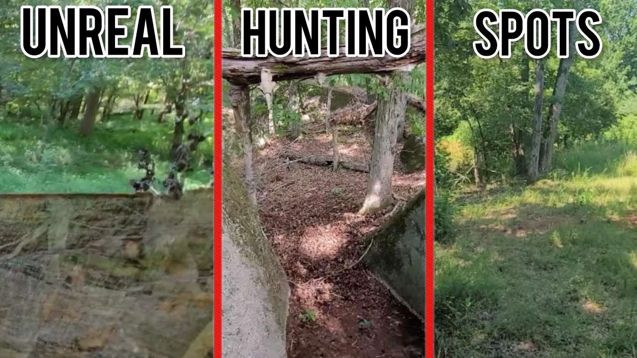 These Deer Hunting Spots Are UNREAL!!! - YouTube