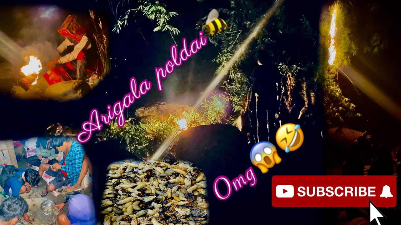 Nepali vlog / Arigala poldai / Omg 🤪🤣🐝#youtubevideo #vlog - YouTube