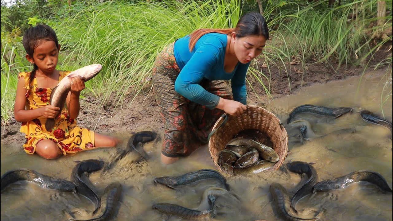 Mother catch many fish with daughter- Grilled fish so delicious with ...