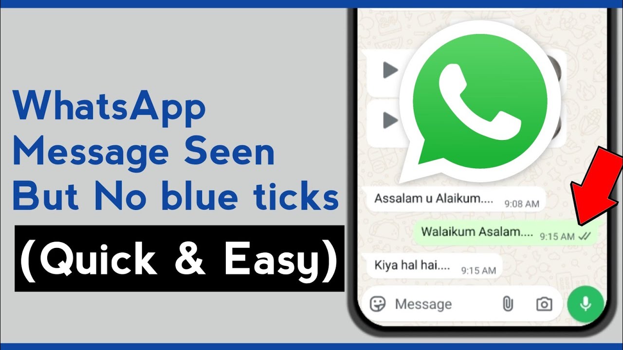 WhatsApp Message Seen But No blue ticks | WhatsApp blue tick not ...
