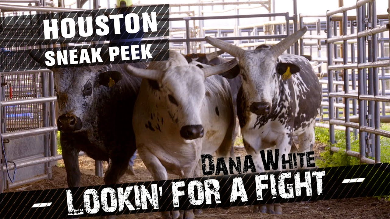 Dana White: Lookin' for a Fight - Episode 5 Sneak Peek - YouTube