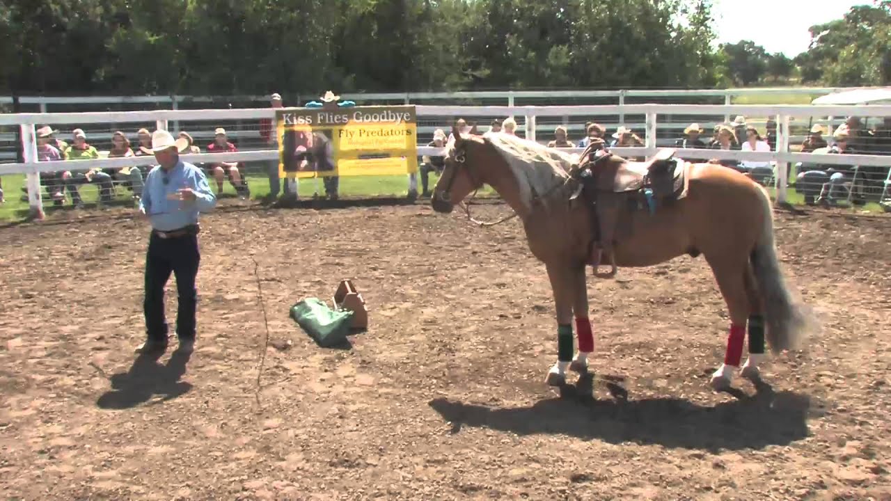 Light Hands Horsemanship 2010 Presented by Spalding Fly Predators ...