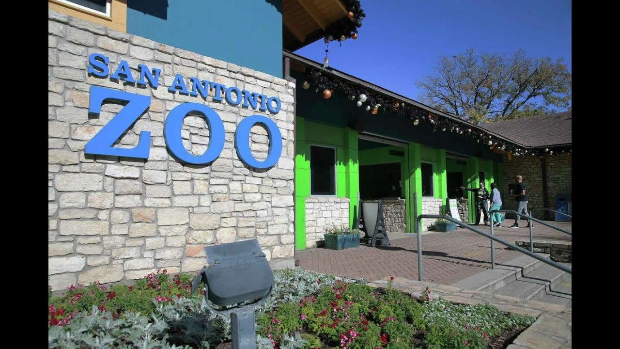 Exploring the San Antonio Zoo | Walkthrough - YouTube