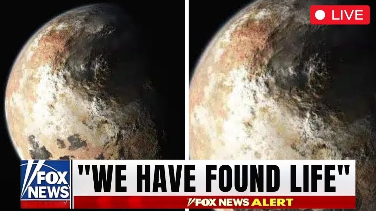 James Webb Telescope Just Captured First Ever, ACTUAL Image Of Proxima ...