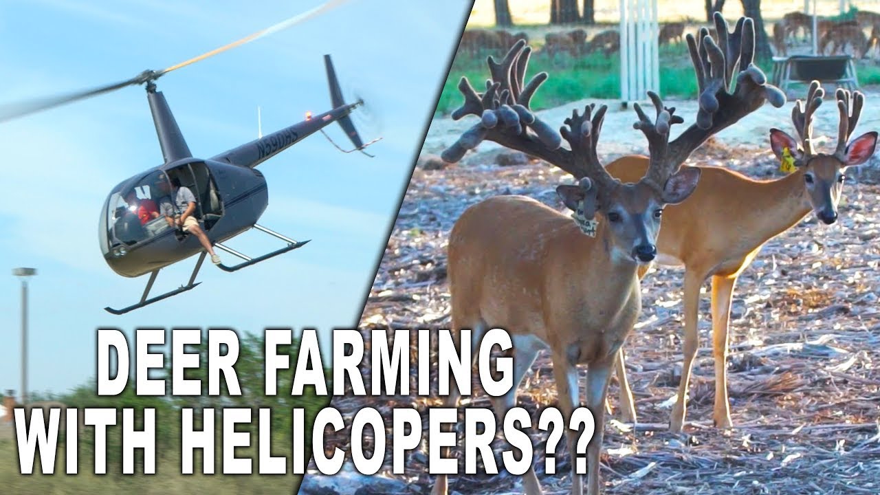 The Texas Deer Farm Summit at Lone Hollow Whitetails | Deer Farming ...