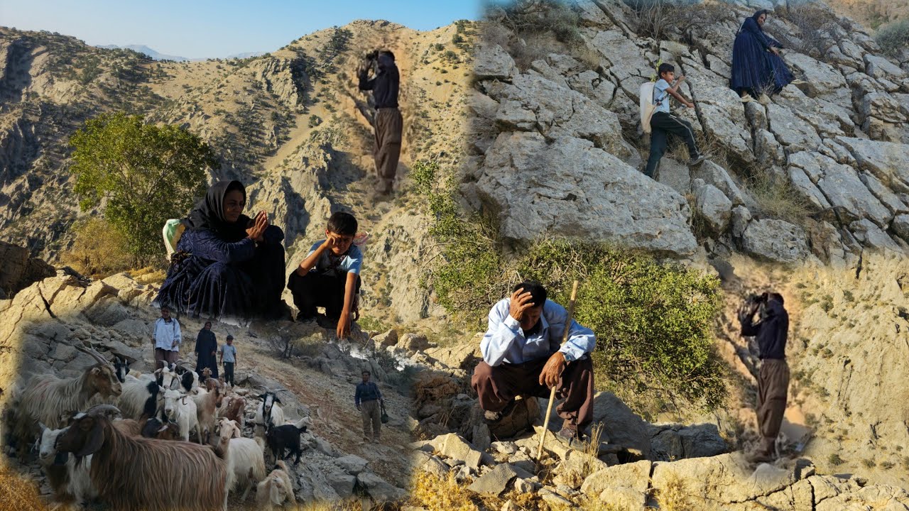 Nomadic Life: Adventurous nomadic life🌄 | The story of survival and the ...