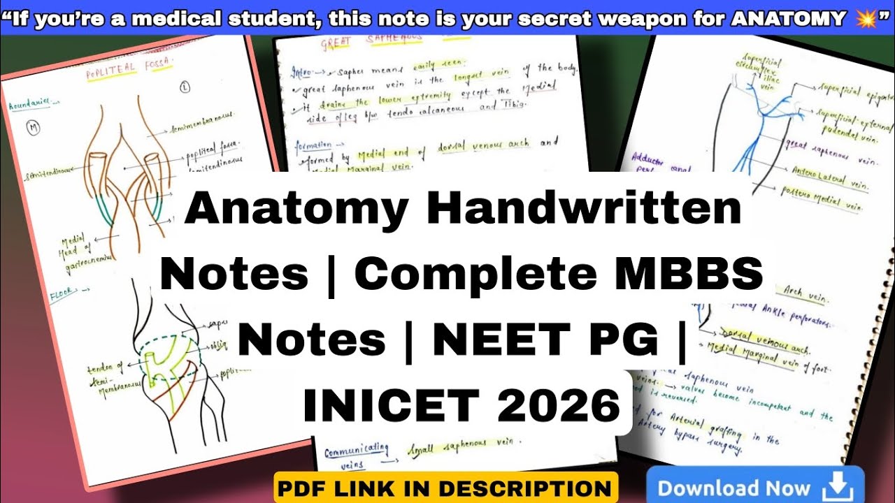 Complete MBBS Anatomy Notes | Lower Limb High Yield Topics | Femoral ...