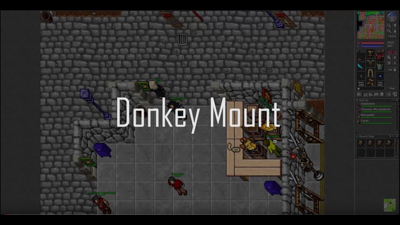 Tibia: Donkey Mount, en Español - YouTube