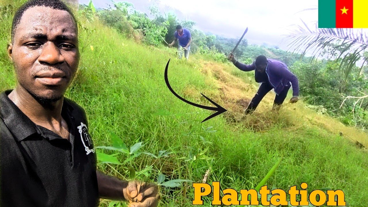 Drive through pk14 to pk 21 (inside douala Cameroon) farm day with me ...