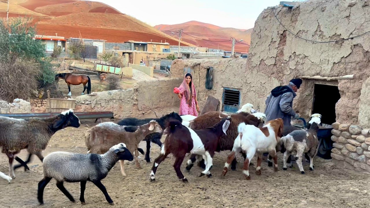 Tales from a 1000-Year-Old Iranian Village: The Life of a Lone Elder ...