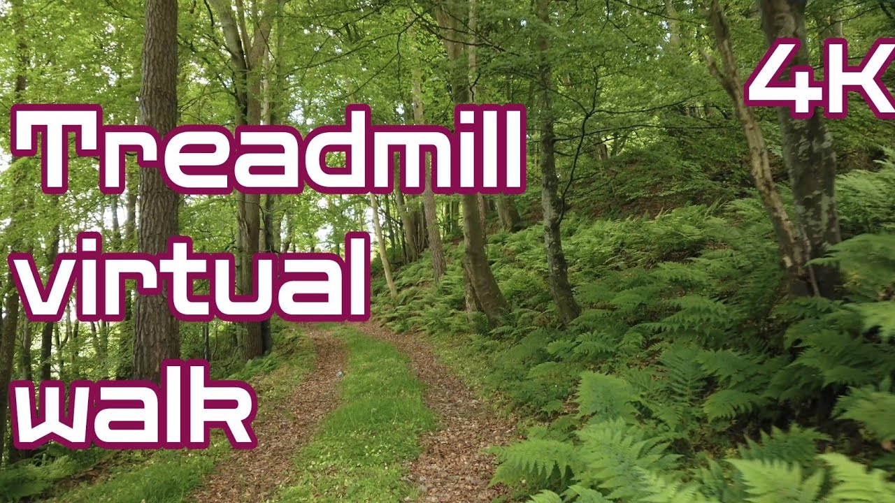 Treadmill virtual Walk / Hike / Run • 4K virtual scenery • Forest walk ...