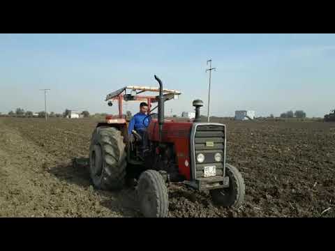 Massey Ferguson 285 ile 7 li çizel çekimi#masseyferguson #tarım#traktör#keşfet #shorts #shortsvideo