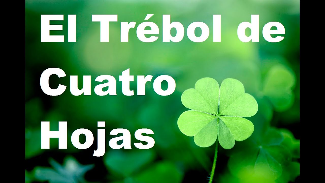 El Trébol de Cuatro Hojas - Su origen y por qué da buena suerte - YouTube