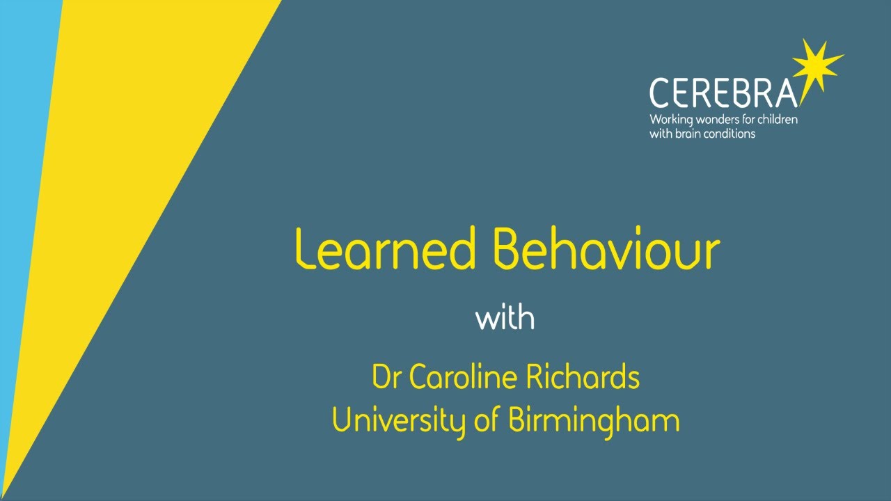 Learned Behaviour - YouTube