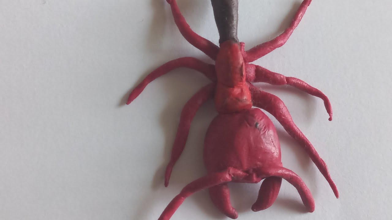 Driver ants - YouTube