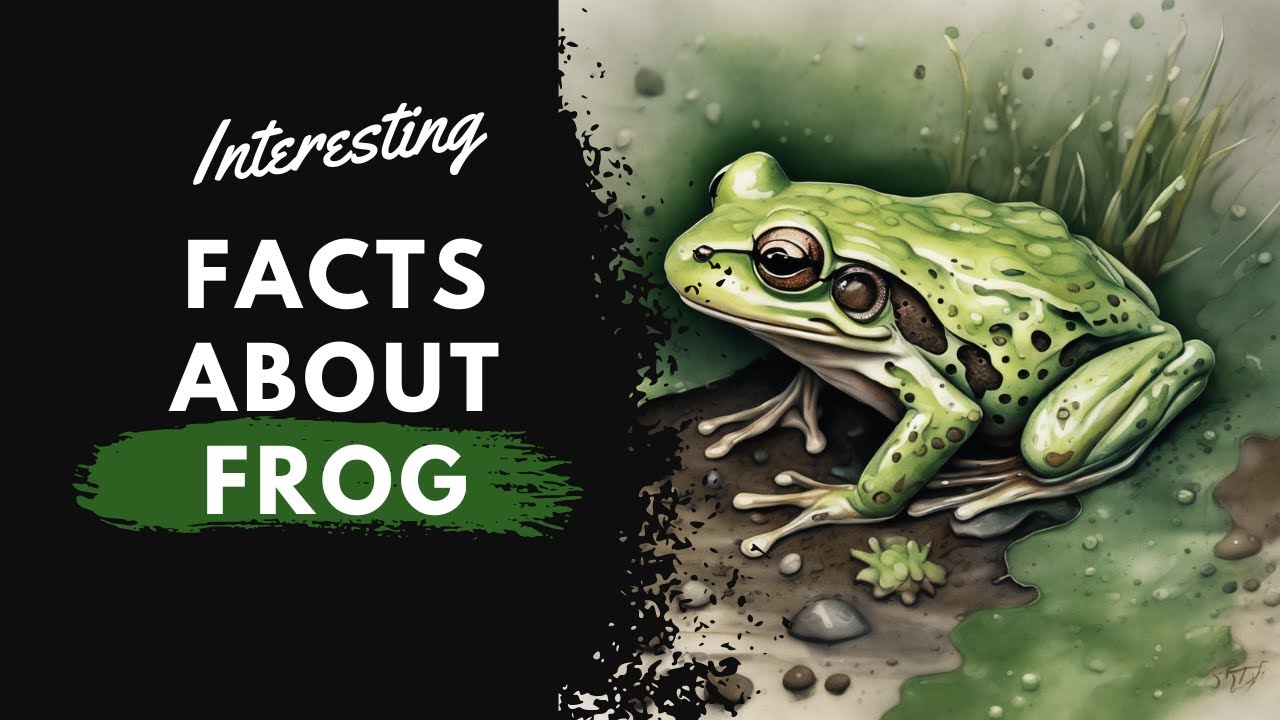 Ribbiting Wonders: 10 Fascinating Facts About Frogs You Didn't Know 🐸# ...
