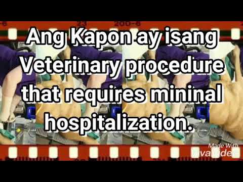 ANO ANG KAPON? - YouTube