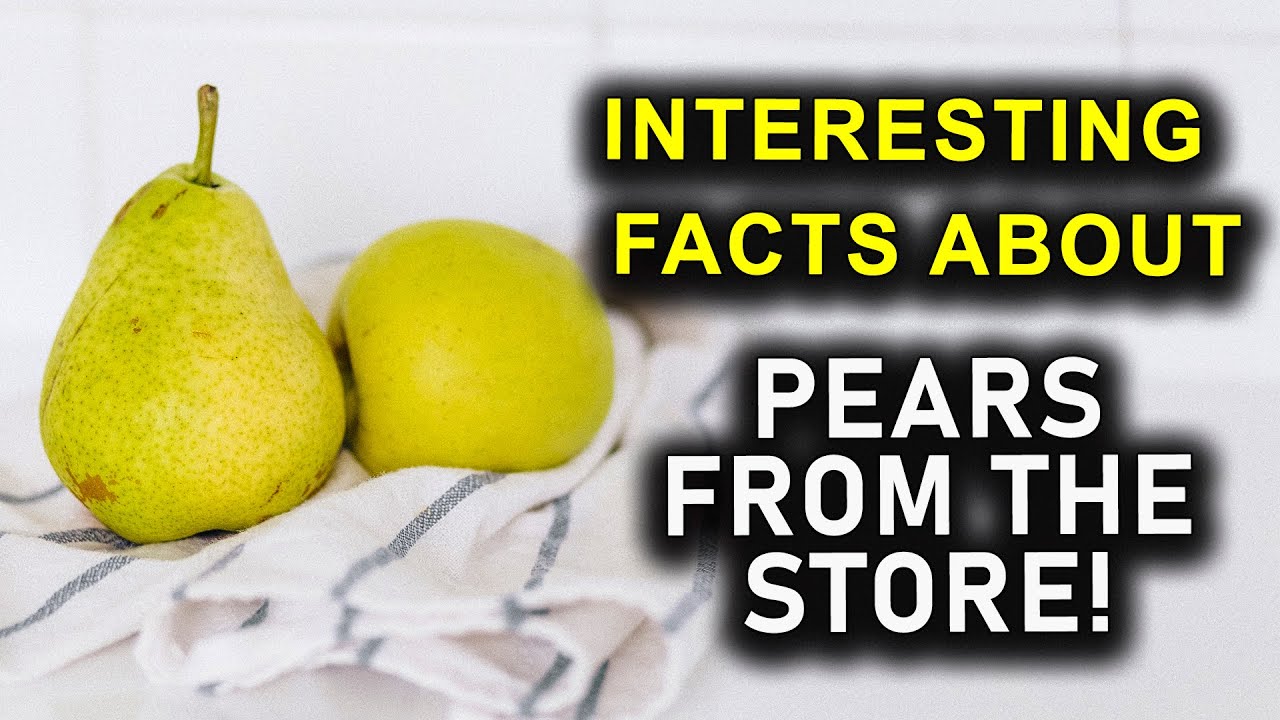 INTERESTING FACTS ABOUT PEARS FROM THE STORE! - YouTube