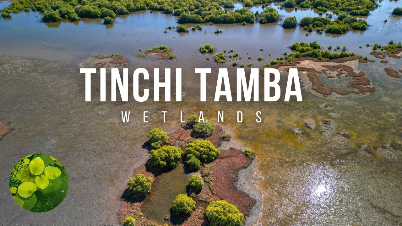 Tinchi Tamba Wetlands - YouTube