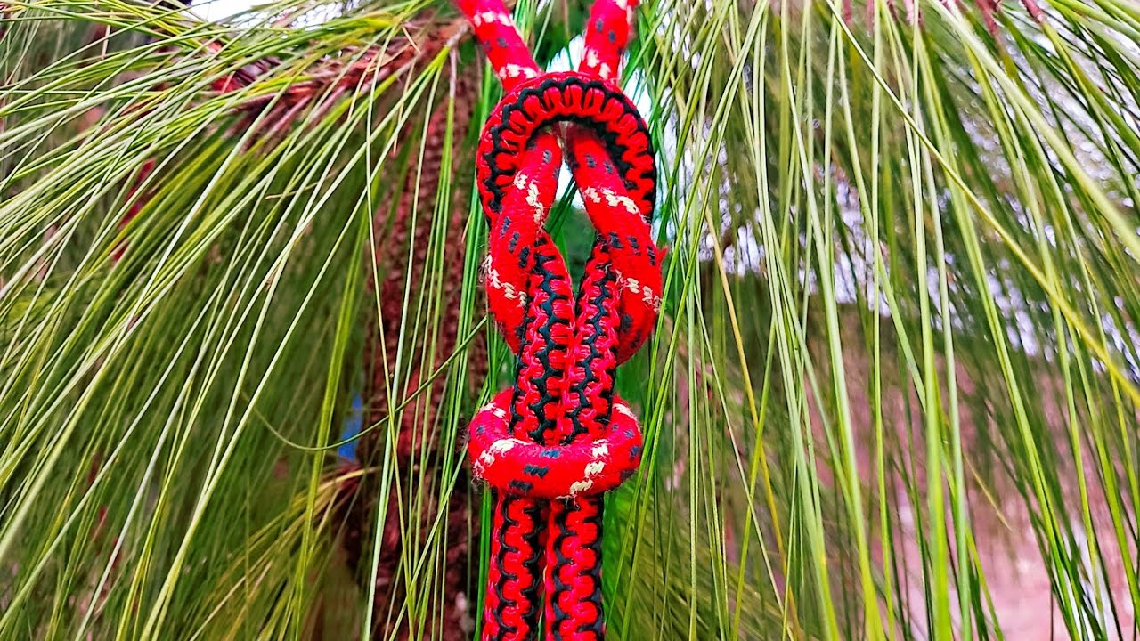 2 kn FASTEST and EASIEST method to tie snake knots (qaimshah snake ...