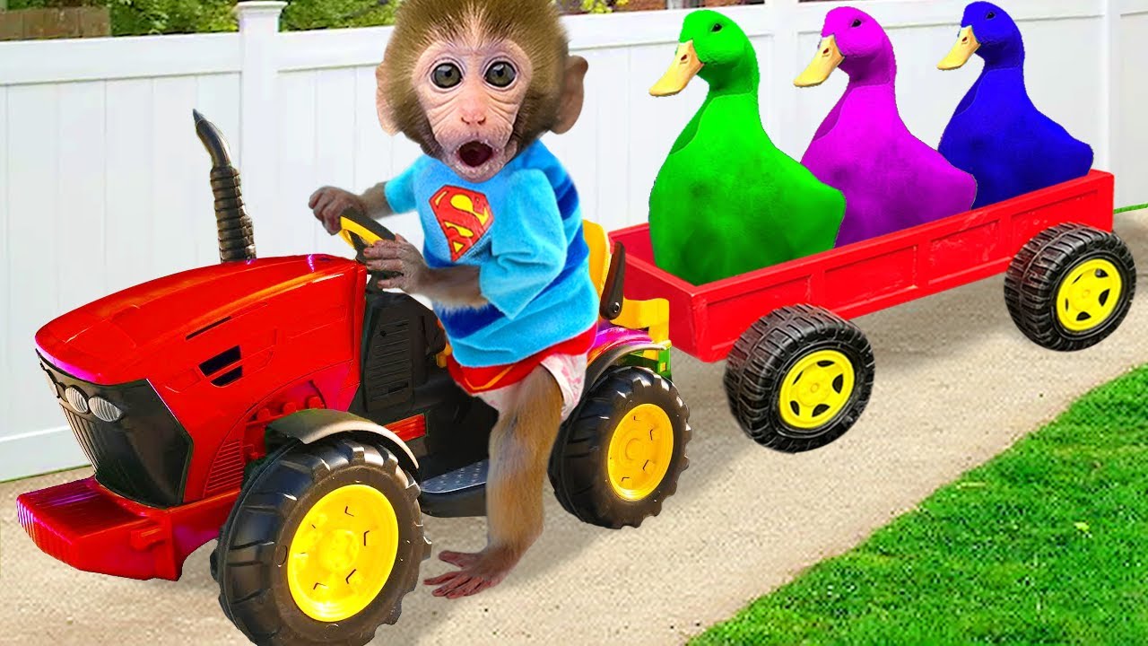 Bebé Mono Bon Bon va a cosechar sandías y prepara un zumo delicioso en ...