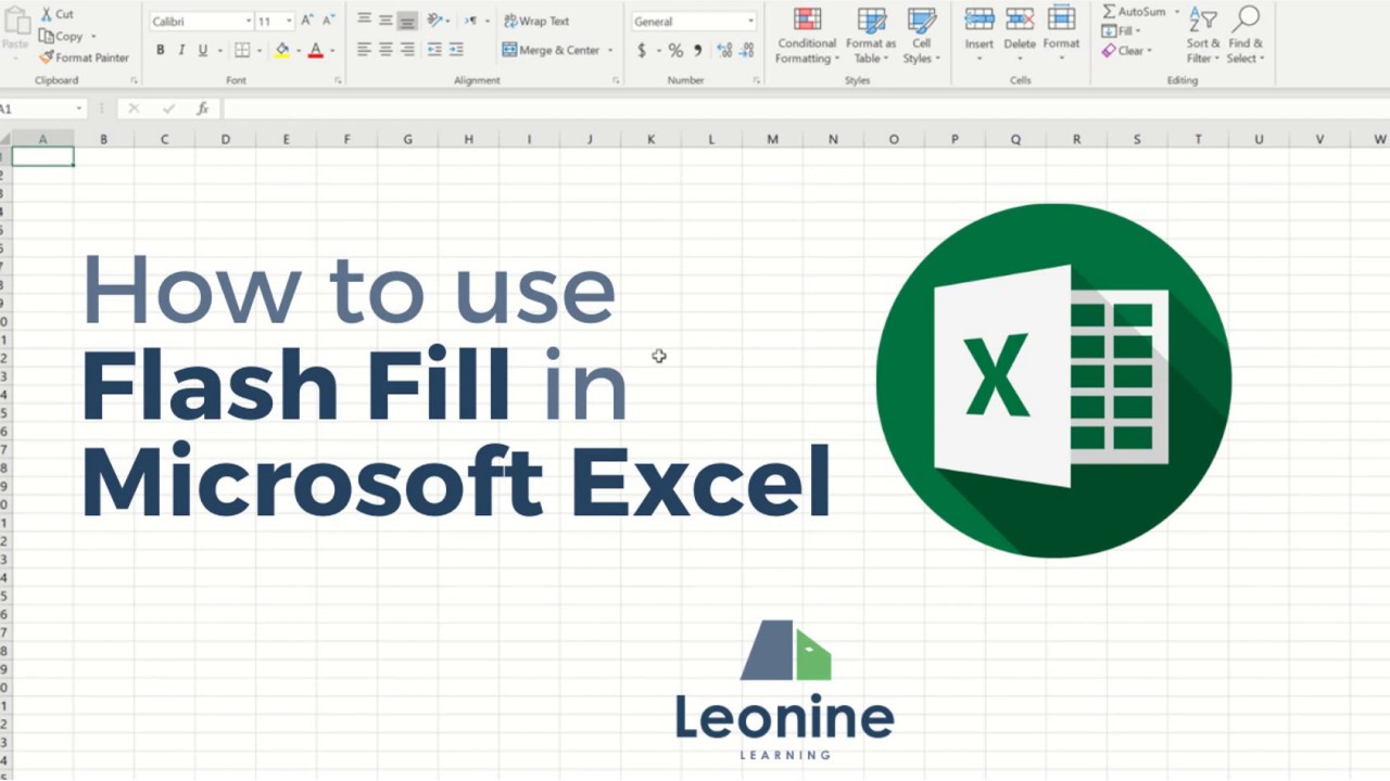 How to use Flash fill in Microsoft Excel -- Leonine Learning - YouTube