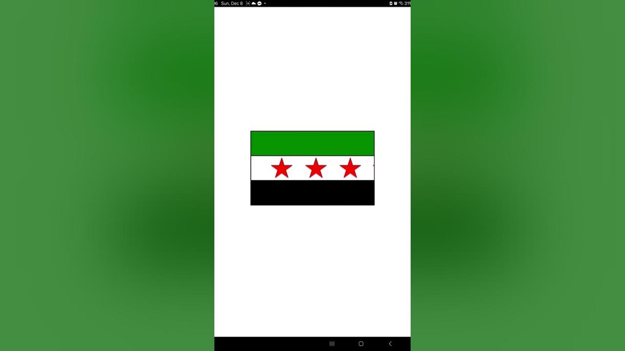 python project Syrian flag #سوريا #python #reels #pythonexample #الساروت #الثورةالسورية #حرية ...