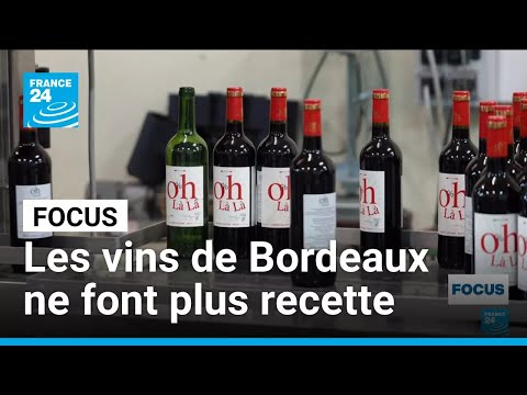 Changer pour continuer d'exister : les vins de Bordeaux ne font plus recette • FRANCE 24