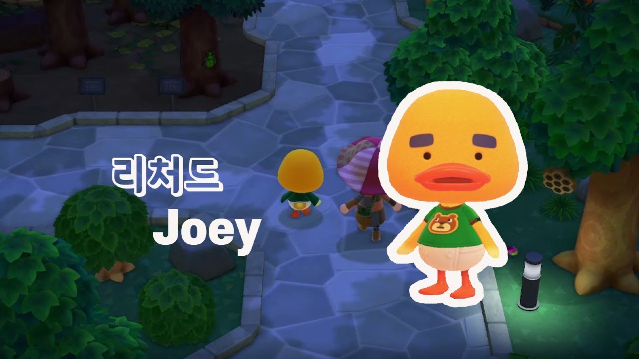 🐤모동숲 I 리처드(Joey) I animal crossing new horizons - YouTube
