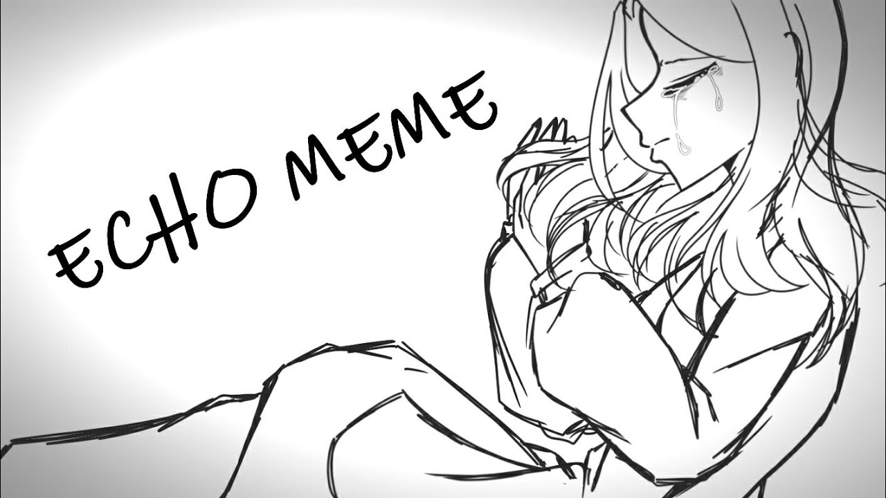 [4번째] ECHO meme - YouTube