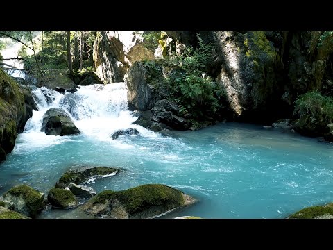 Blue Water Flowing River View 4k Video Clips For Editing And Whatsapp Status 2021 | No Copyright |