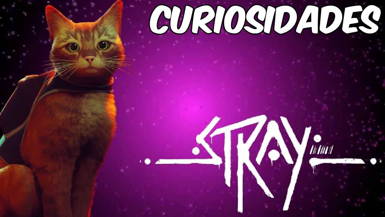 🐱 10 CURIOSIDADES de STRAY 🤔 - YouTube