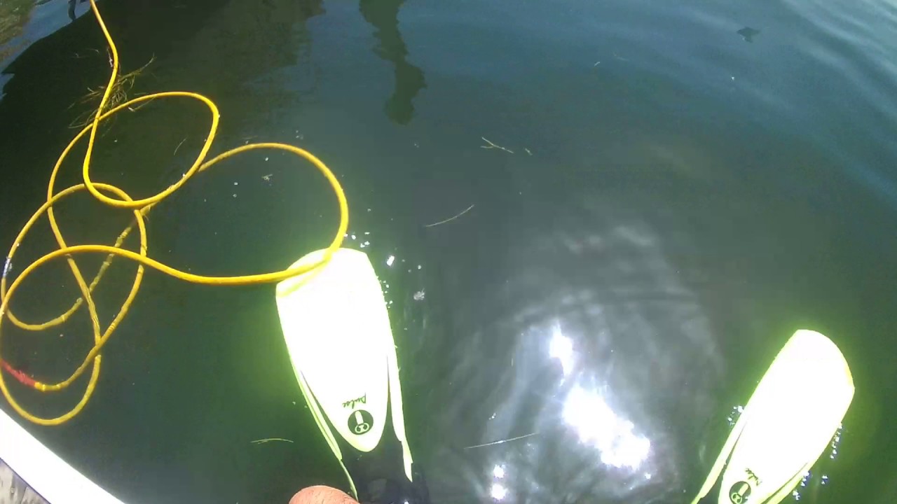 Floating dock cleaning part 1 - YouTube