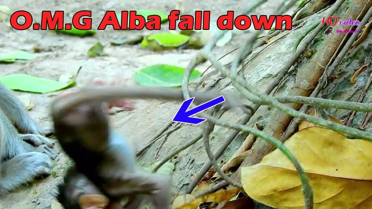 Oh God Help Alba ! What happen wrong on poorest baby Alba like this ...