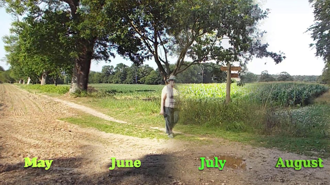 Seasons Recap II: April to October - YouTube