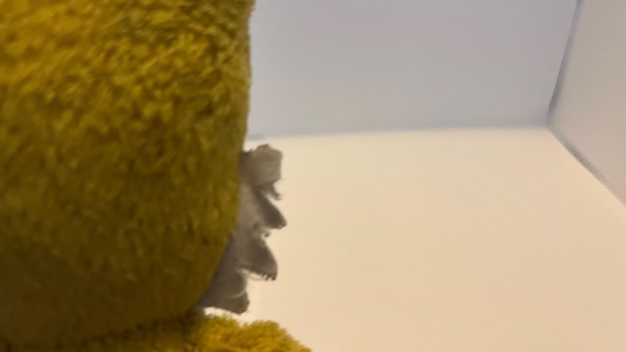 Tails 2D! (sonic pals 12) - YouTube