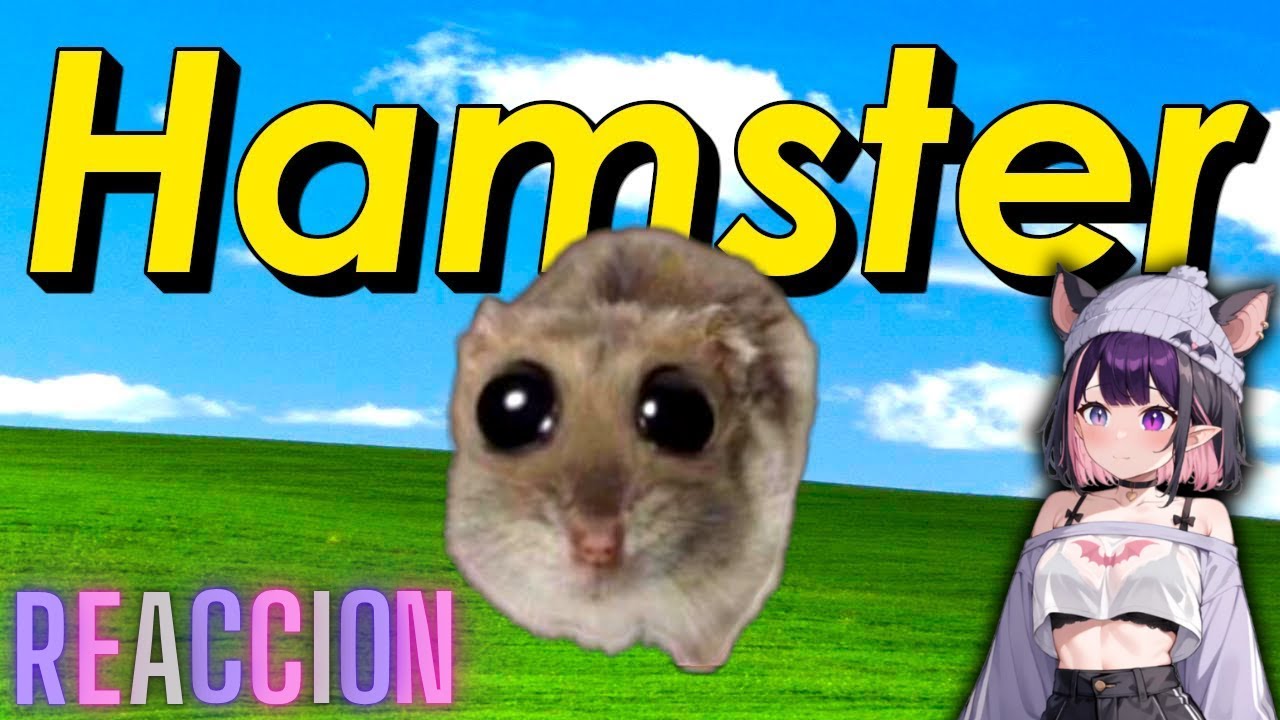 TheMomons reacciona a Idor "Hamster" #vtuber - YouTube