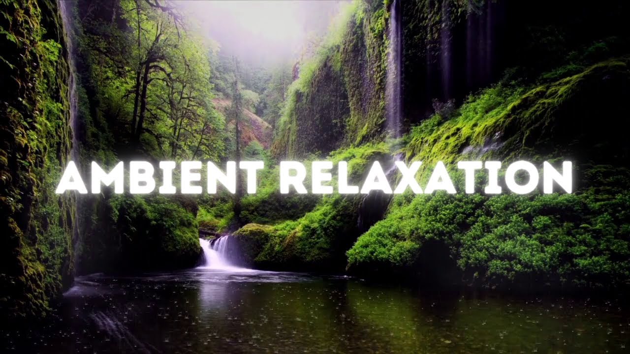 1 Hour of Relaxing Rain forest Ambiance to Help You Fall Asleep - YouTube