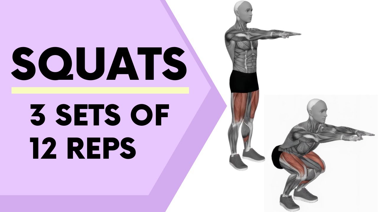 Squats Workout | 3 Sets of 12 Reps for Stronger Legs and Glutes - YouTube