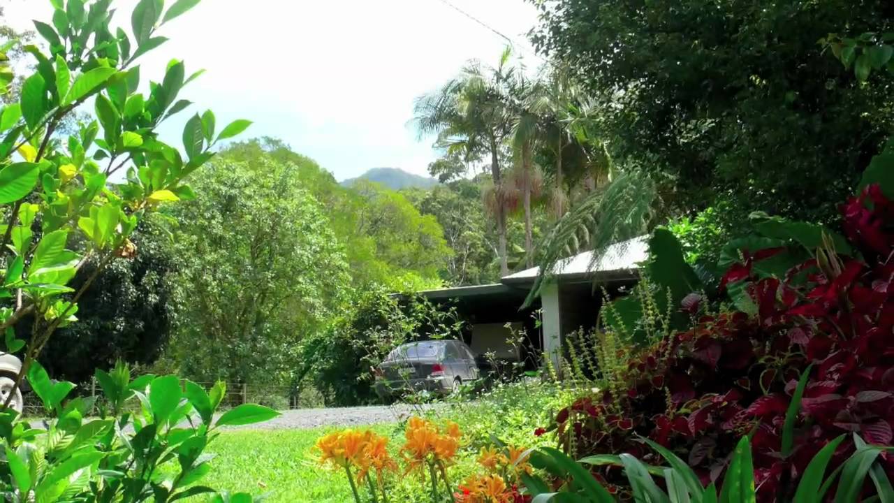 780c Glennifer Road, Bonville, presented by Nathan Cardow - YouTube