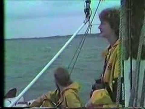 Pacific proa KAURI and friends, under sail - YouTube