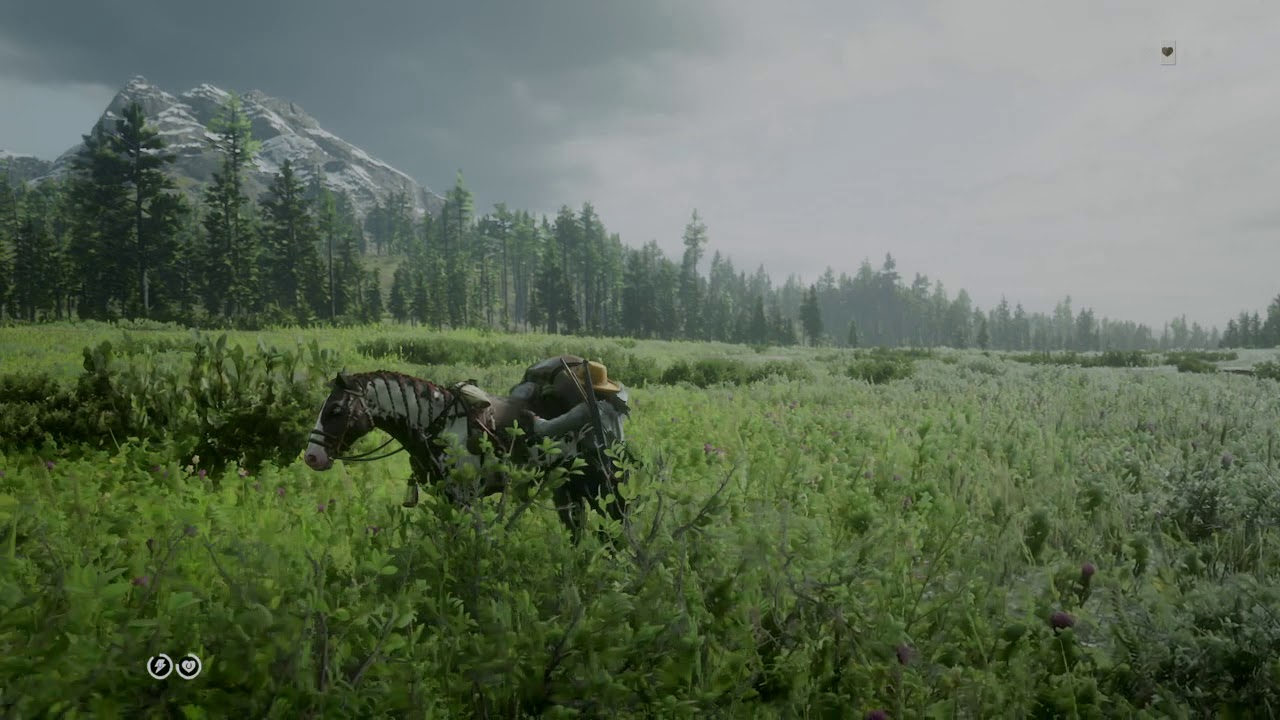 Big valley_Red Dead Redemption 2_RED DEAD ONLINE THAIFANS - YouTube