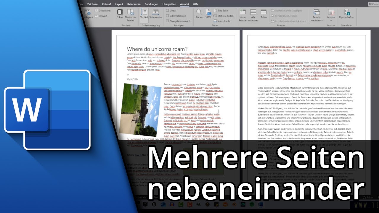 Word: 2 Seiten nebeneinander anzeigen Tutorial - YouTube