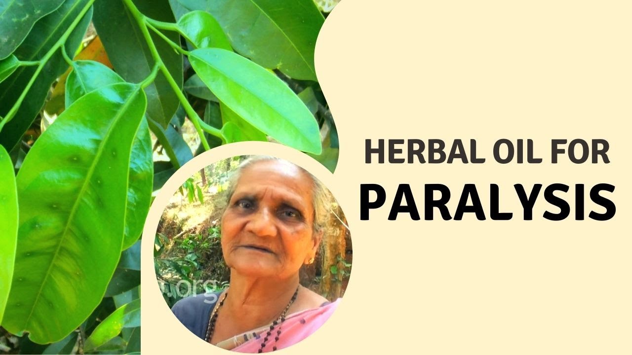 Home remedies For Paralysis | Herbal oil using Karingotta plant for ...